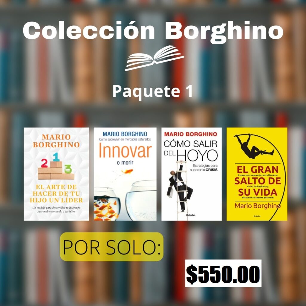 Borghino Consultores